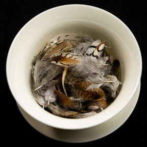 50 Bobwhite Quail Body Feathers 3/4 to 1 3/4 - Etsy