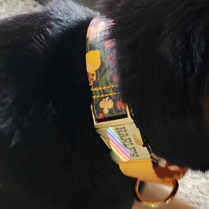 Rifle Paper Co Print Dog Collars 9 Cute Floral Trendy Patterns No ...