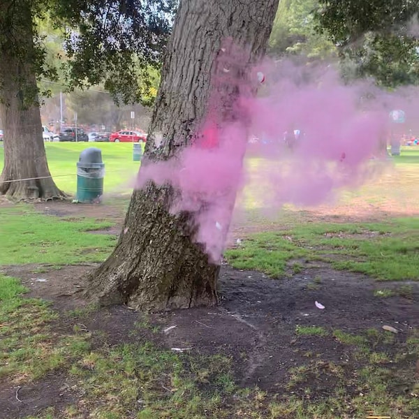 Gender Reveal Fishing Bobber Fisher Gender Reveal Fishing Lures or ...