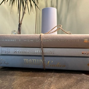 White Book Stack, White Shelf Aesthetic, White Themed Books, Ivory ...