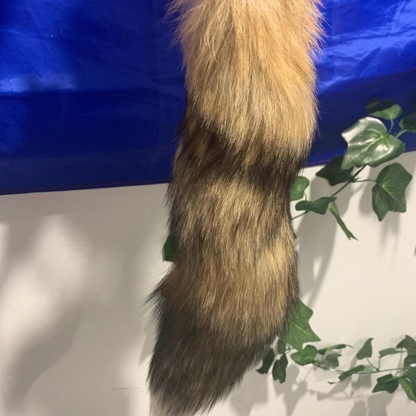 Tanuki Skull - Etsy Australia