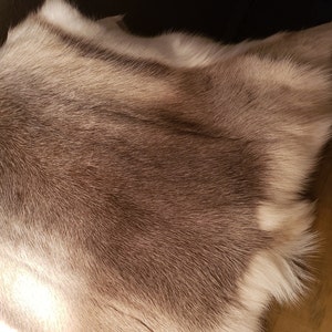 Cowhide Rug Neutral Tones / Cream & White - Etsy UK