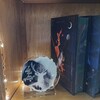 Cauldron Made Fan Art From inkfaeart Freestanding Bookshelf / Desktop ...
