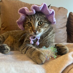 Flower Hat Crochet Hat for Cat or Small Dog Crochet Eggplant Hat ...