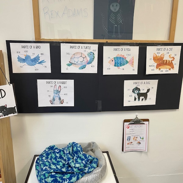 Vet Clinic Dramatic Play, Pretend Play, Classroom Dramatic Play, Home ...