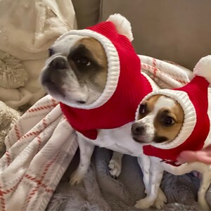 Red Christmas Knitted Hat / Beanie for Cat or Dog Small and - Etsy