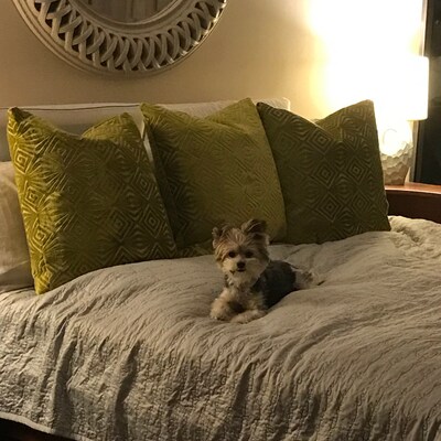 Geometric Chartreuse Velvet Fabric by the Yard, Jacquard Velvet Fabric ...