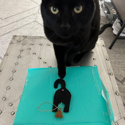 Rudolph Catnip Cat Toy With Bells, Reindeer Catnip Toy, Christmas Cat ...