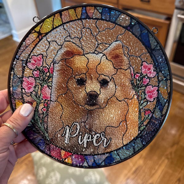 Coin Holder Travel Personalized, Coin Collection Display Foreign ...