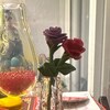 Miniature Handmade Cardinal Gift for Bird Lovers Tiny Christmas ...