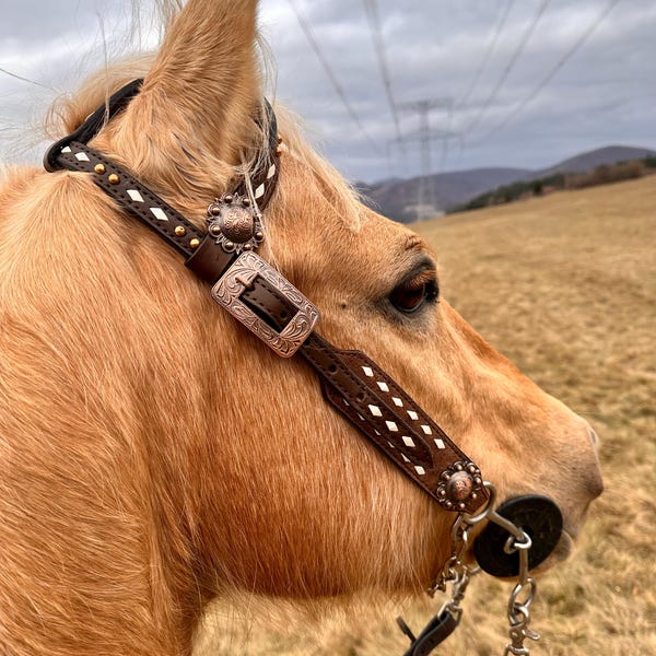 Western Saddle Tack, Real Handcrafted on Real Genuine Leather, Barrel ...