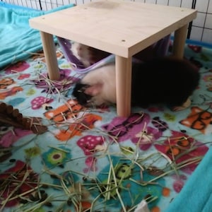 Wood Table Small Animal Table Free Standing Shelf Hamster Toy - Etsy UK