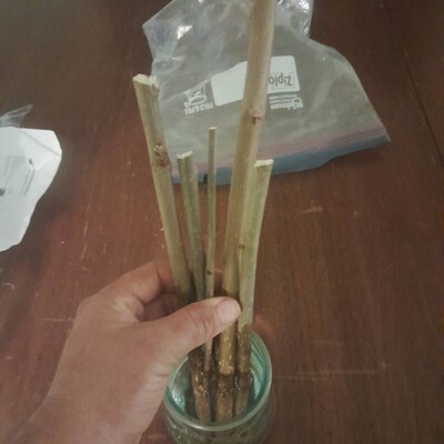 Handmade Sunburst Granny Square Afghan 100% Cotton Yarns Multiple ...