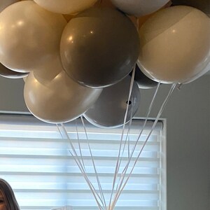 Pastel Matte Balloons// Matte Pastel Balloons//chalk - Etsy