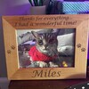 Cat Rescue, Pet Rescue, Frame Rescued, Frame Adoption, Cat Gift, Cat ...
