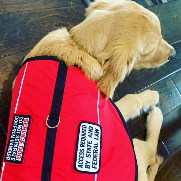 Access Required by State and Federal Law SD-009 Service Dog Embroidered ...