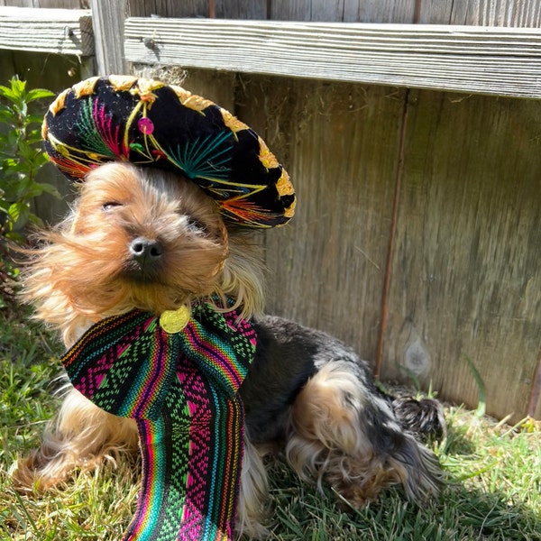 Dog Costume - Mariachi Dog Costume, Halloween Dog Costume, Cat Costume ...