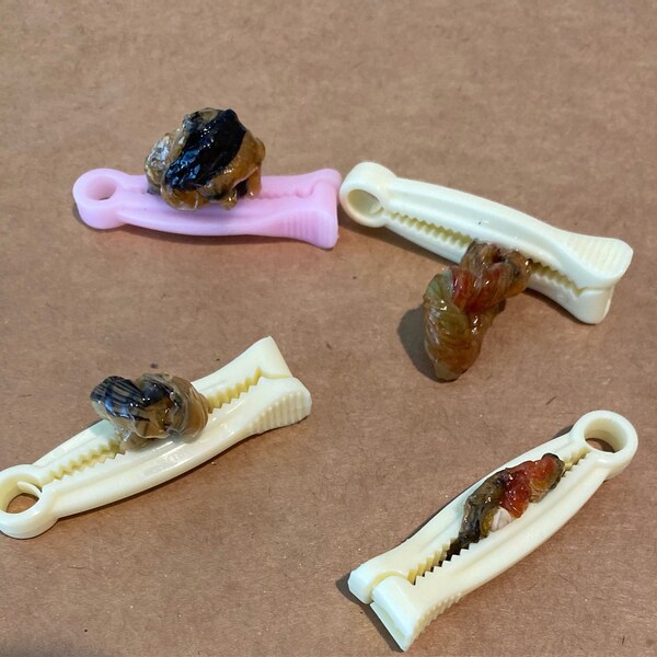 Reborn Dolls - Etsy UK