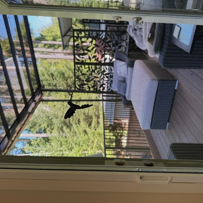 Retractable Screen Door Decals 5 per Pack Prevent Collisions Into ...