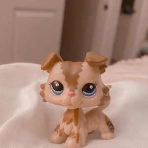 LPS Littlest Pet Shop 1211 Dachshund Hasbro Collector - Etsy