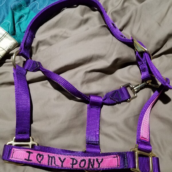 Custom Made , Personalized, Monogrammed Nylon Horse, Pony Halters, Dog ...