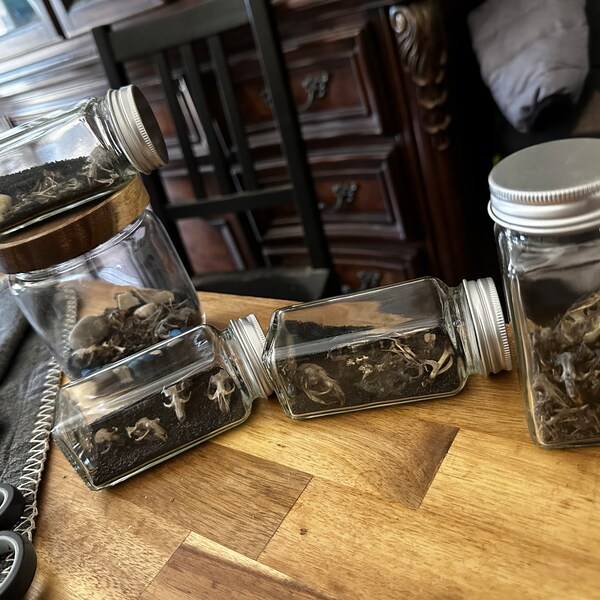 Roadkill Leather Squirrel Pouch, Veg Tanned, Natural Bark Tanned ...