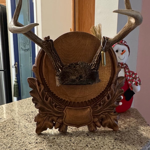 Trophy Shield Plaque Antler Plaque European Deer Skull Mounting Kit ...