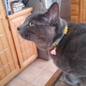 Cat Teaser Wand Cat Toy Star Cat Toys Wand Cute Cat Toys | Etsy