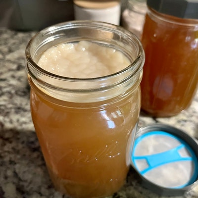 Apple Cider Mother of Vinegar Scoby ACV Starter Homemade Probiotic ...