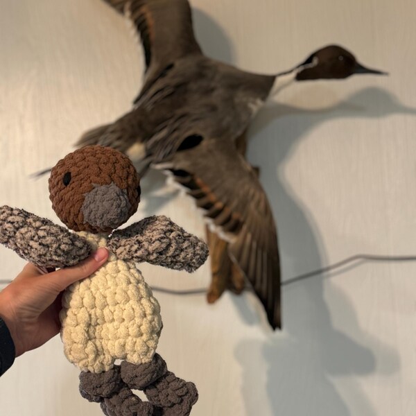 Dillon the Armadillo Crochet PATTERN Low Sew Crochet Amigurumi Pattern ...