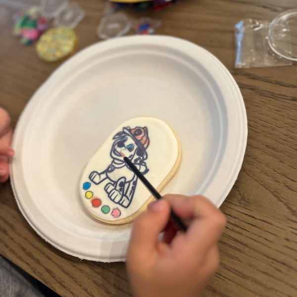 PYO (paint Your Own) Cookies for Kids - Etsy