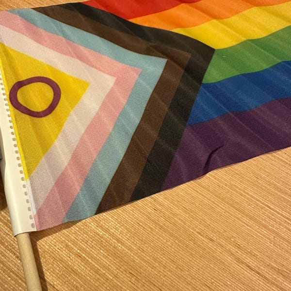 DIGITAL FILE: Printable Extended Pride Flag Reference Guide - Includes ...