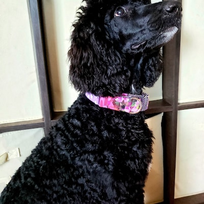 Pink & Purple Patchwork Dog Collar, Unique One of a Kind 1 Inch, 1.5 ...