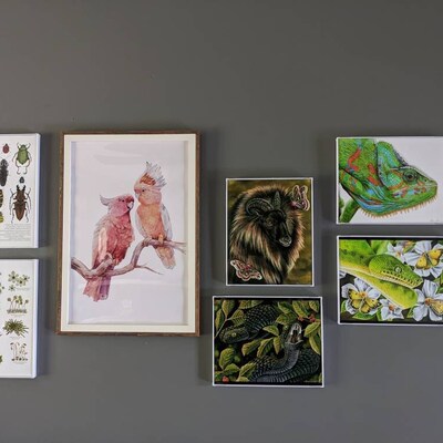 Emerald Tree Boa Fine Art Print Reptile Snake by Laura - Etsy