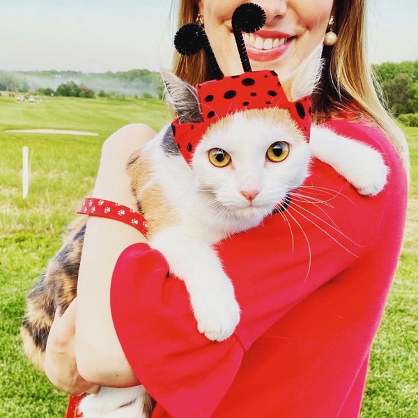 Ladybug Hat for Cats - Etsy