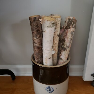 Birch Bundle of Logs 10 Free Shipping - Etsy