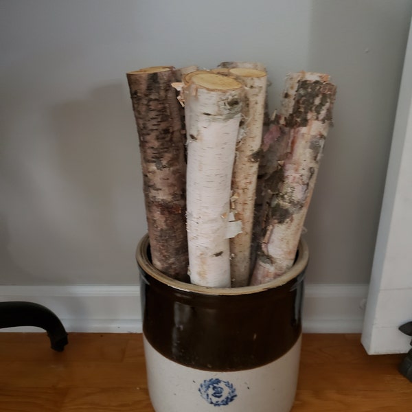 Birch Bundle of Logs (10) Free Shipping - Etsy
