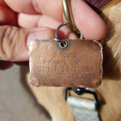 Large Dog Tag Personalized Pet ID Tag With Hand Stamped and - Etsy