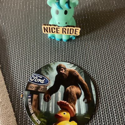 Buck Buck Bronco Ducks Horse Duck Tag for Bronco Rubber Ducks Youve ...
