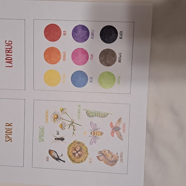 Set of 2 Educational Posters | Fruits Poster | Vegetables Poster ...