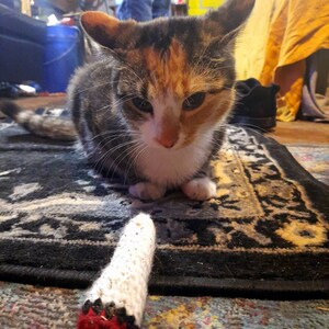 Agent Cooper Decal Twin Peaks Dale Cooper Decal Special | Etsy