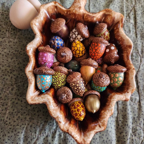 JUMBO Acorns Extra Large Acorns Natural Acorns Real Acorns Christmas ...