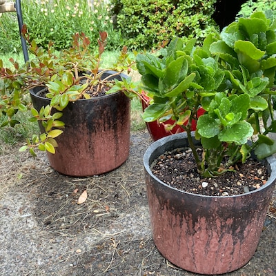 6 Inch Geode Pot Concrete Pot Hand Painted Pot Stone Pot Crystal Pot ...