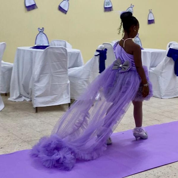 White Baby Blue Prom Gown With Butterflies & Detachable Train, Girl ...