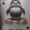 Unnatural History Playing Cards Plastic Coated Poker Deck 4 Suits, 2 ...