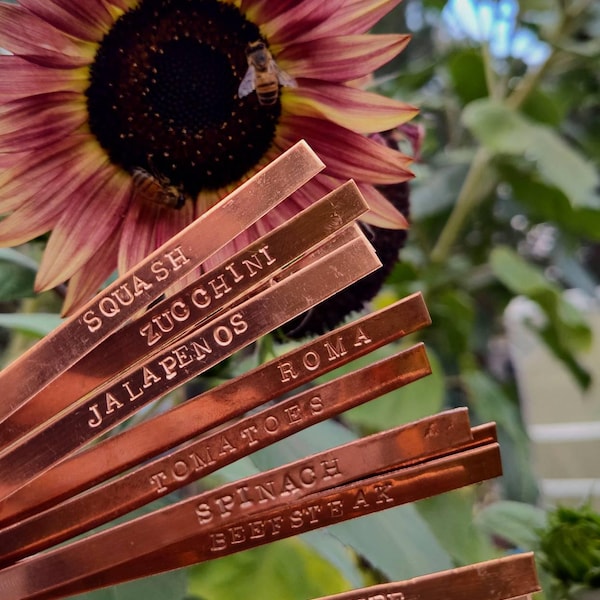 Nickel Silver Football / Eye / Leaf / Rugby Ball Shape - 18 Gauge ...