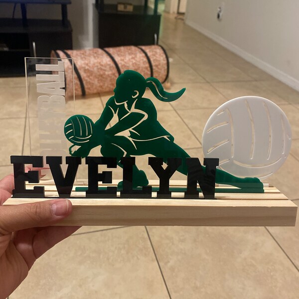 Volleyball Grandstand, Libero, Personalized Volleyball Gift, Choose ...