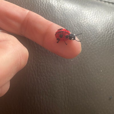 Crochet Pattern Micro Ladybug Amigurumi: Make Your Own Miniature ...