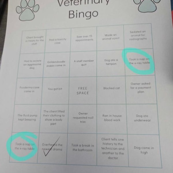Veterinary Bingo Cards - Etsy