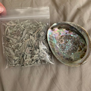 Smudge Shell With Sage personal Size - Etsy